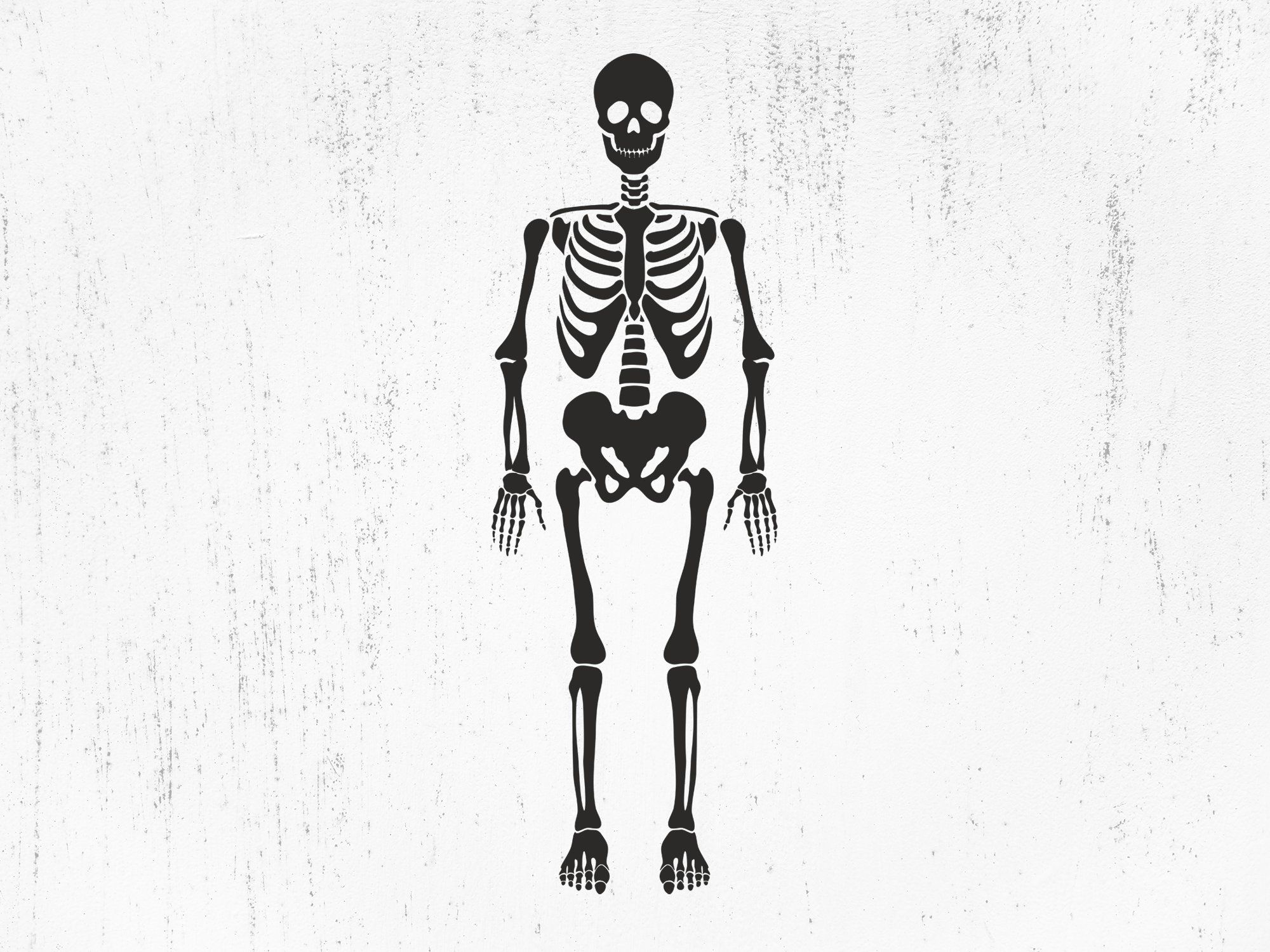 Skeleton SVG, Skeleton Parts Svg, Skeleton Png, Skeleton Cut File ...