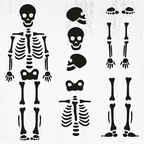 Skeleton Svg - Etsy