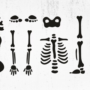 Skeleton SVG, Skeleton Parts Svg, Skeleton Png, Skeleton Cut File ...