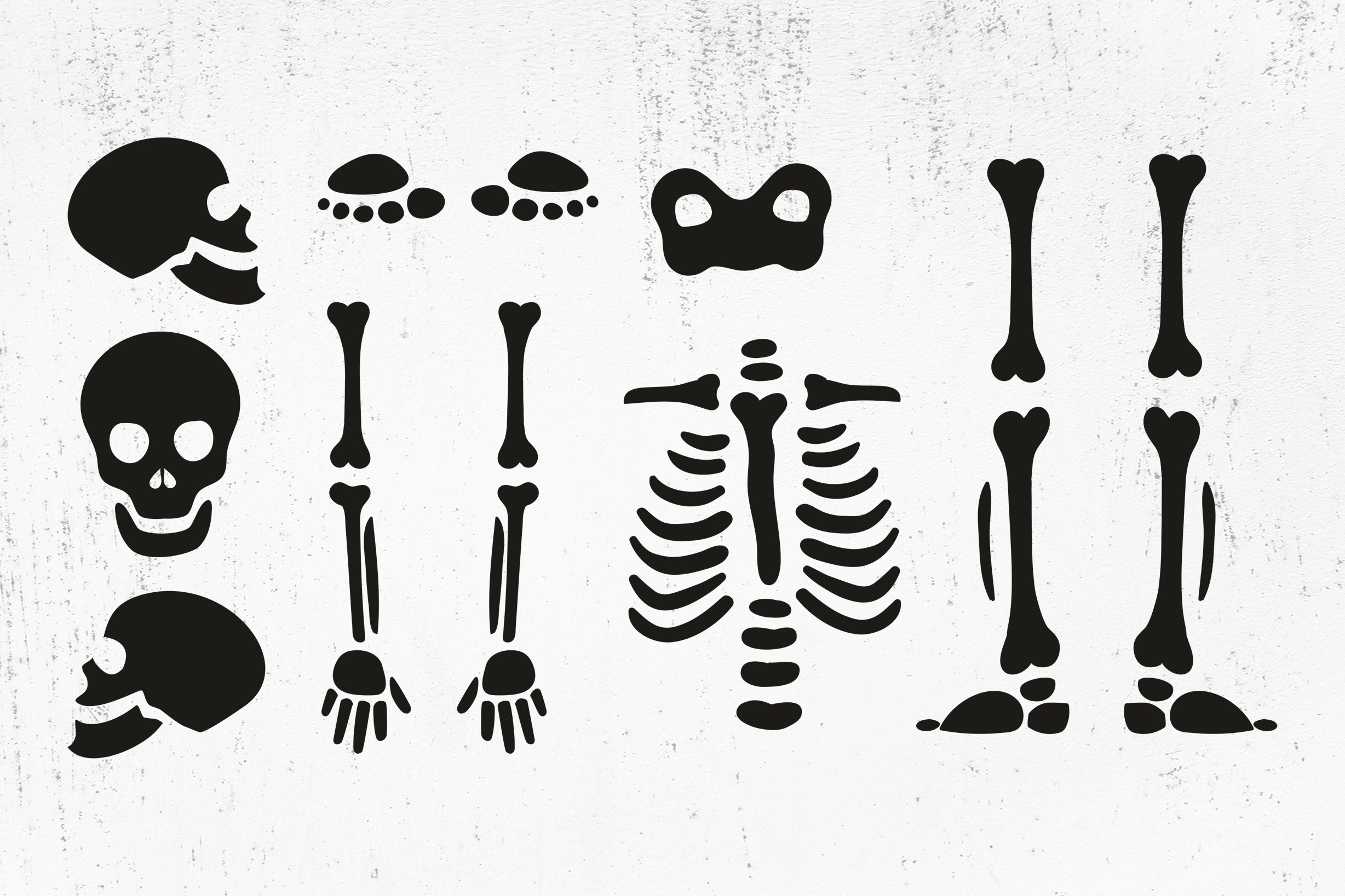 Skeleton SVG, Skeleton Parts Svg, Skeleton Png, Skeleton Cut File ...