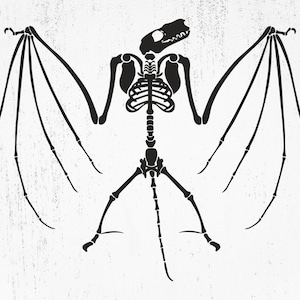 Bat Skeleton With Wings SVG, Bat Skeleton Png, Skeleton Cut File, Bat ...