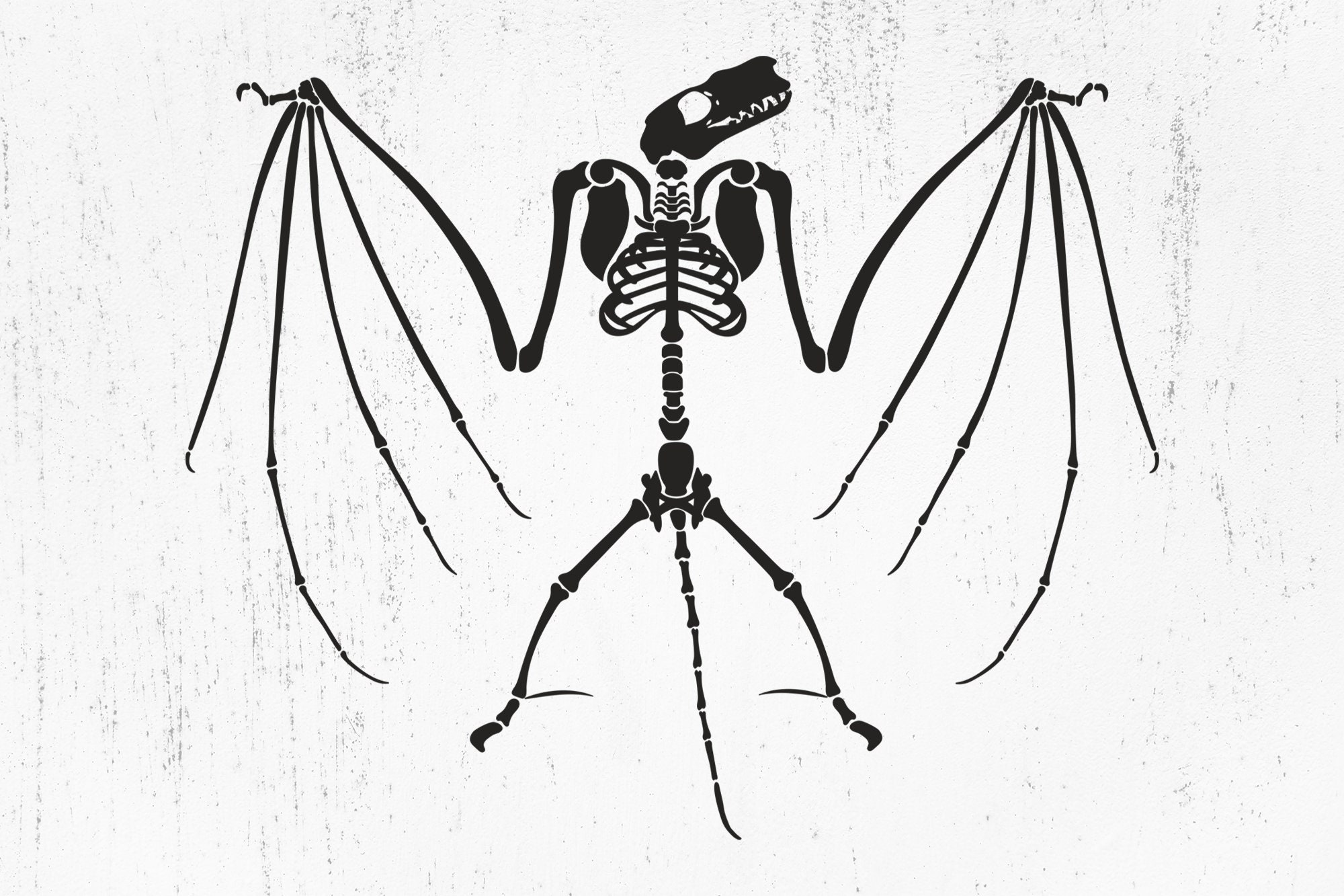 Bat Skeleton With Wings SVG, Bat Skeleton Png, Skeleton Cut File, Bat ...