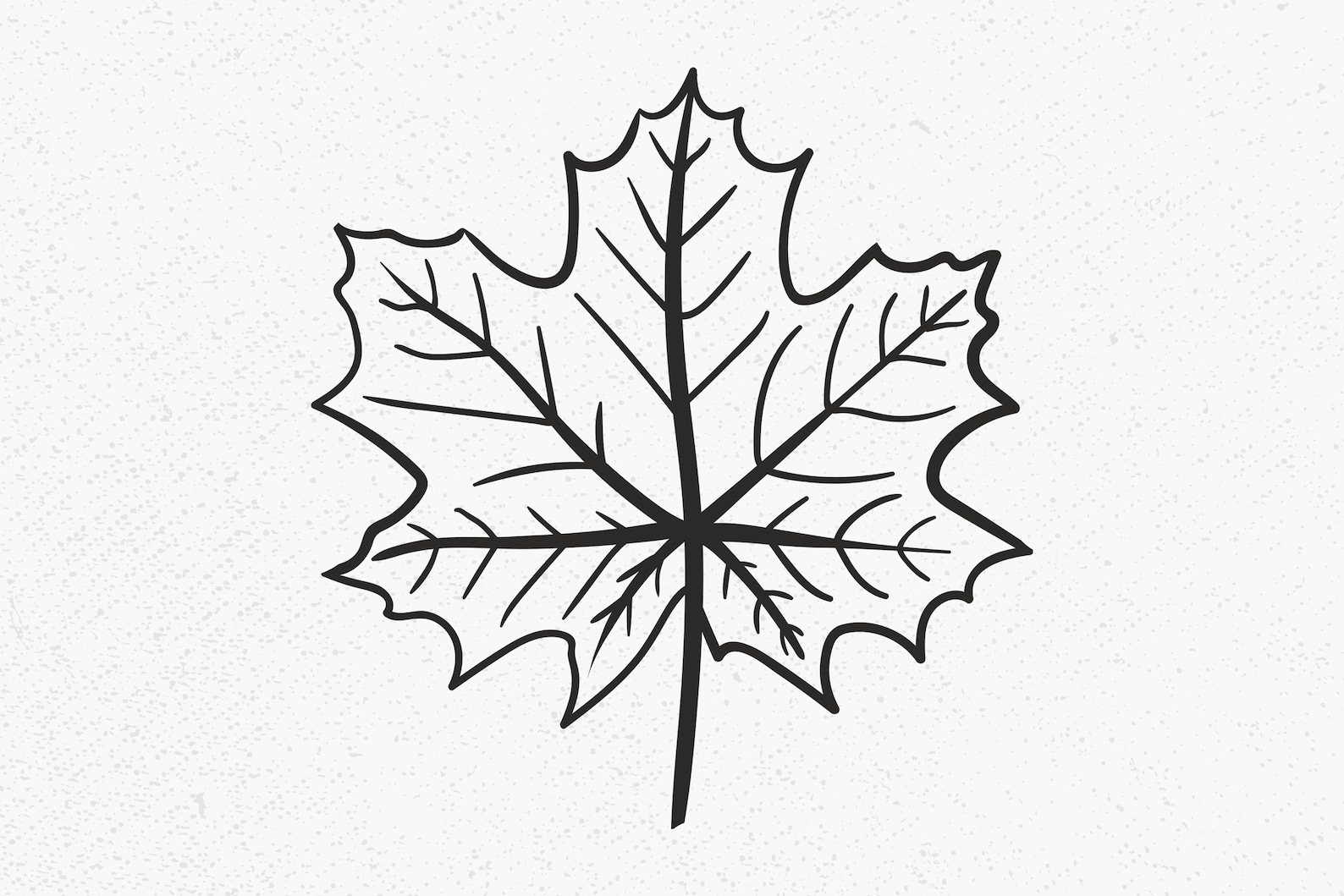 Greenery Leaf Divider Bundle SVG, Greenery Floral Leaf Svg, Floral ...