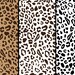 Leopard Pattern Svg, Leopard Textures Bundle SVG, Leopard Texture SVG ...