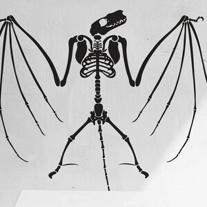 Bat Skeleton With Wings SVG, Bat Skeleton Png, Skeleton Cut File, Bat ...