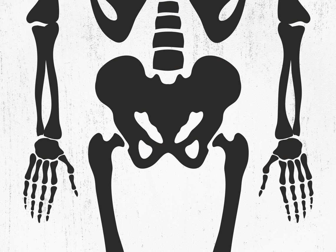 Skeleton SVG, Skeleton Parts Svg, Skeleton Png, Skeleton Cut File ...