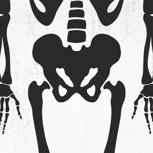 Skeleton SVG, Skeleton Parts Svg, Skeleton Png, Skeleton Cut File ...