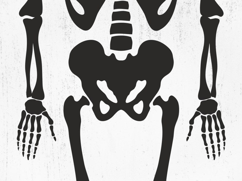 Skeleton SVG, Skeleton Parts Svg, Skeleton Png, Skeleton Cut File ...