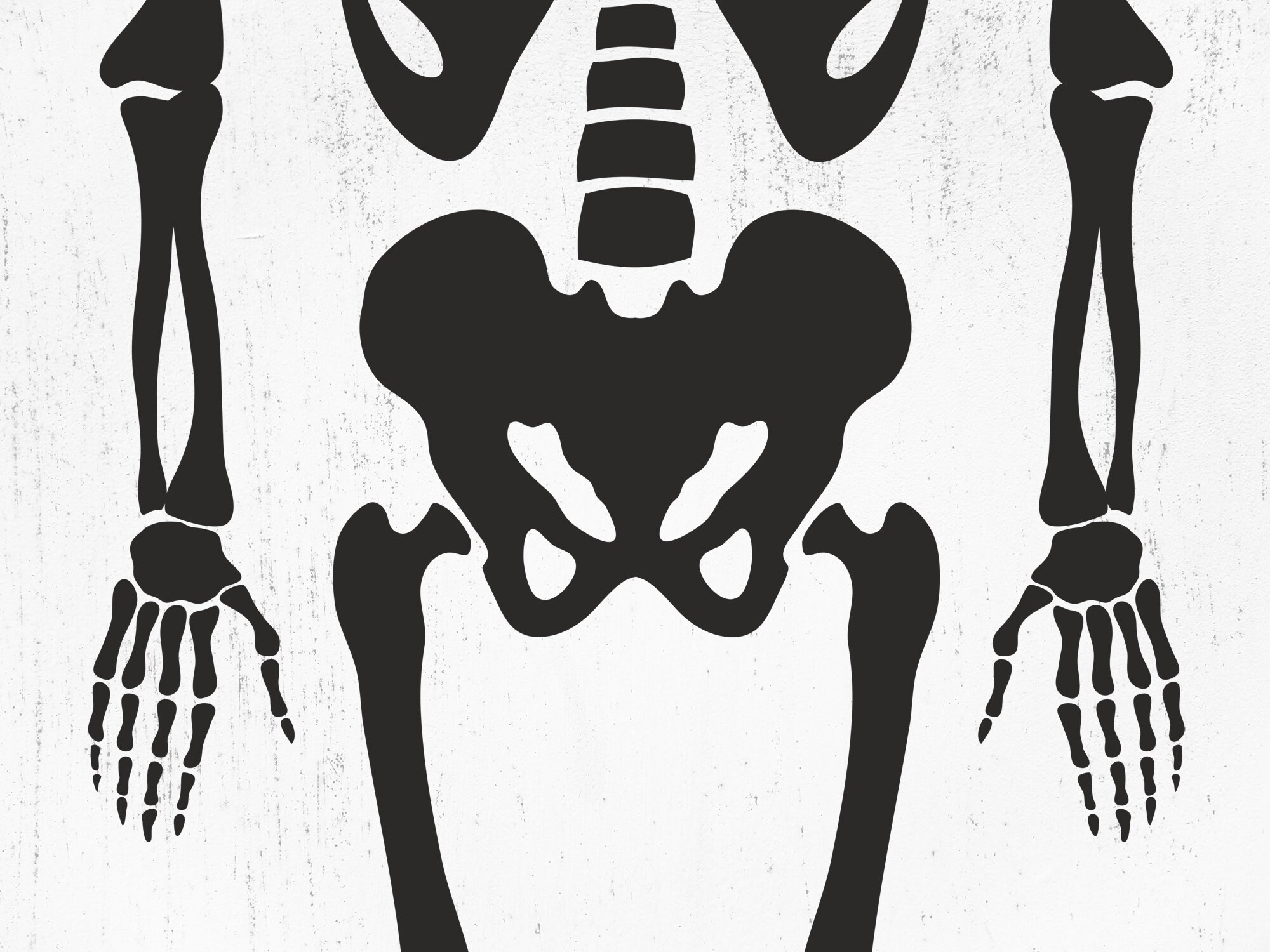 Skeleton SVG, Skeleton Parts Svg, Skeleton Png, Skeleton Cut File ...