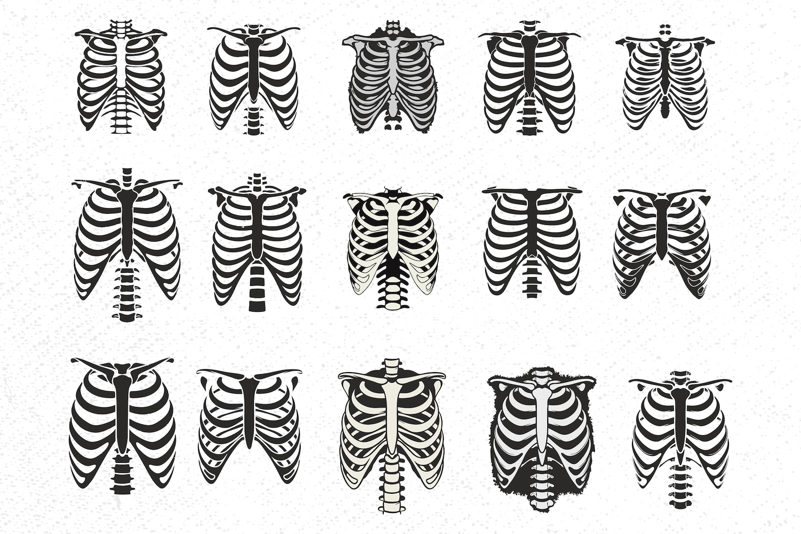 Skeleton Torso SVG Bundle, Ribcage Bones Cut Files (digital Download ...