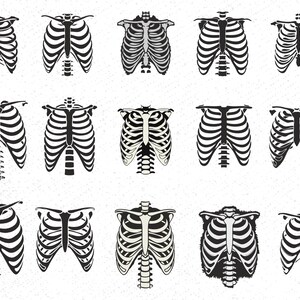 Skeleton Torso SVG Bundle, Ribcage Bones Cut Files (digital Download ...