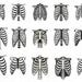Skeleton Torso SVG Bundle, Ribcage Bones Cut Files (digital Download ...
