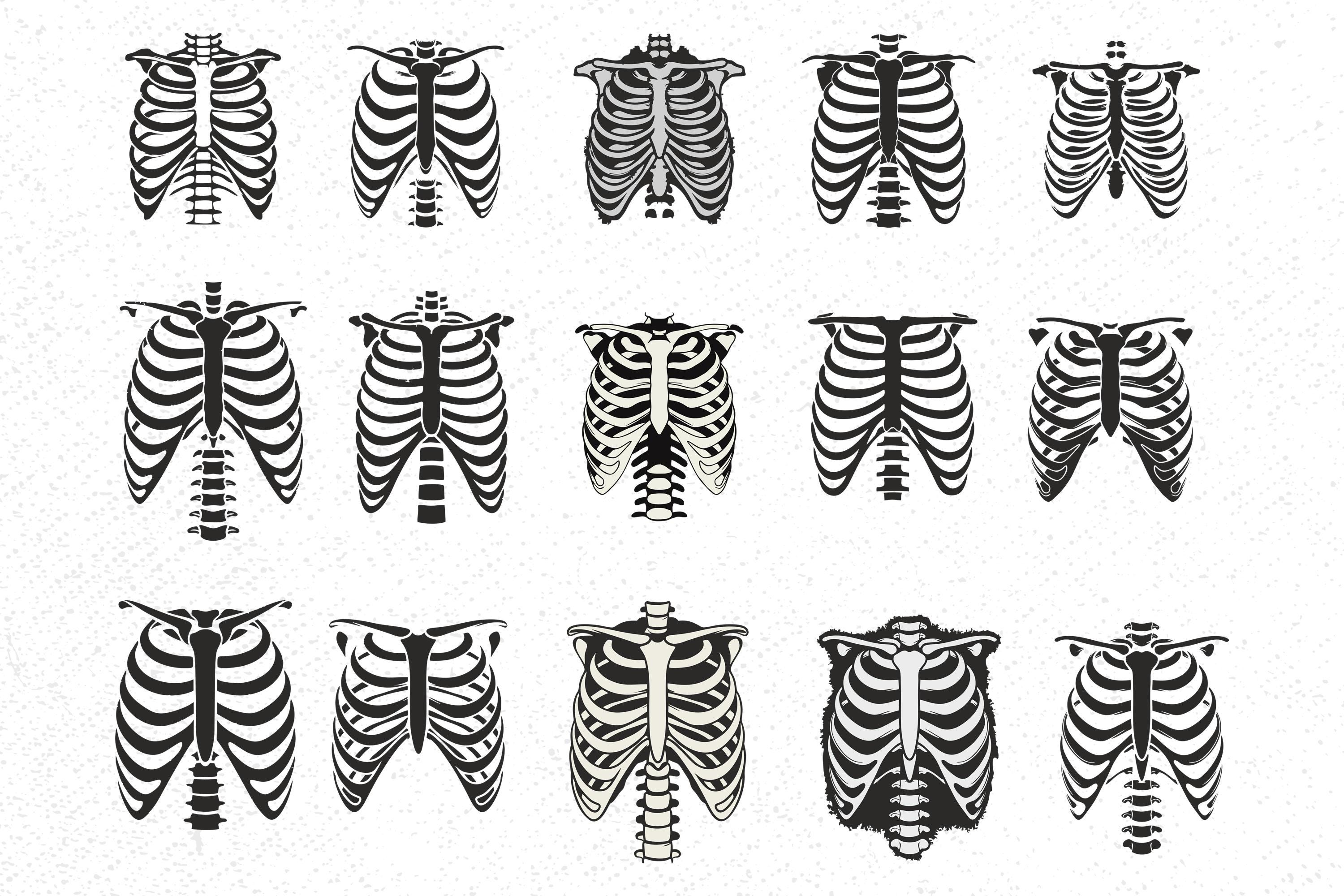 Skeleton Torso Bundle Svg, Skeleton SVG, Skeleton Parts Svg, Skeleton ...