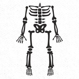 Skeleton SVG Bundle, Bones Cut File, Halloween Clipart (digital ...