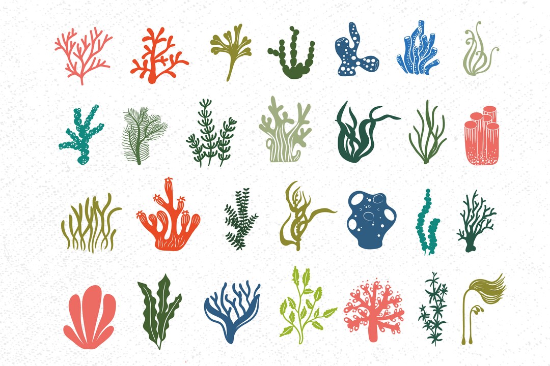 Coral Svg Bundle, Seaweed Svg, Coral Svg, Seaweed Svg, Sea Life Svg ...