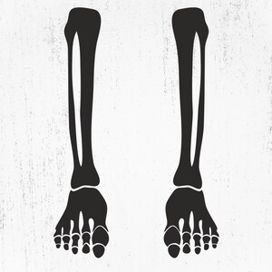 Skeleton SVG, Skeleton Parts Svg, Skeleton Png, Skeleton Cut File ...