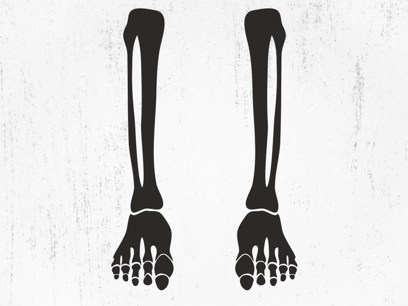 Skeleton SVG, Skeleton Parts Svg, Skeleton Png, Skeleton Cut File ...
