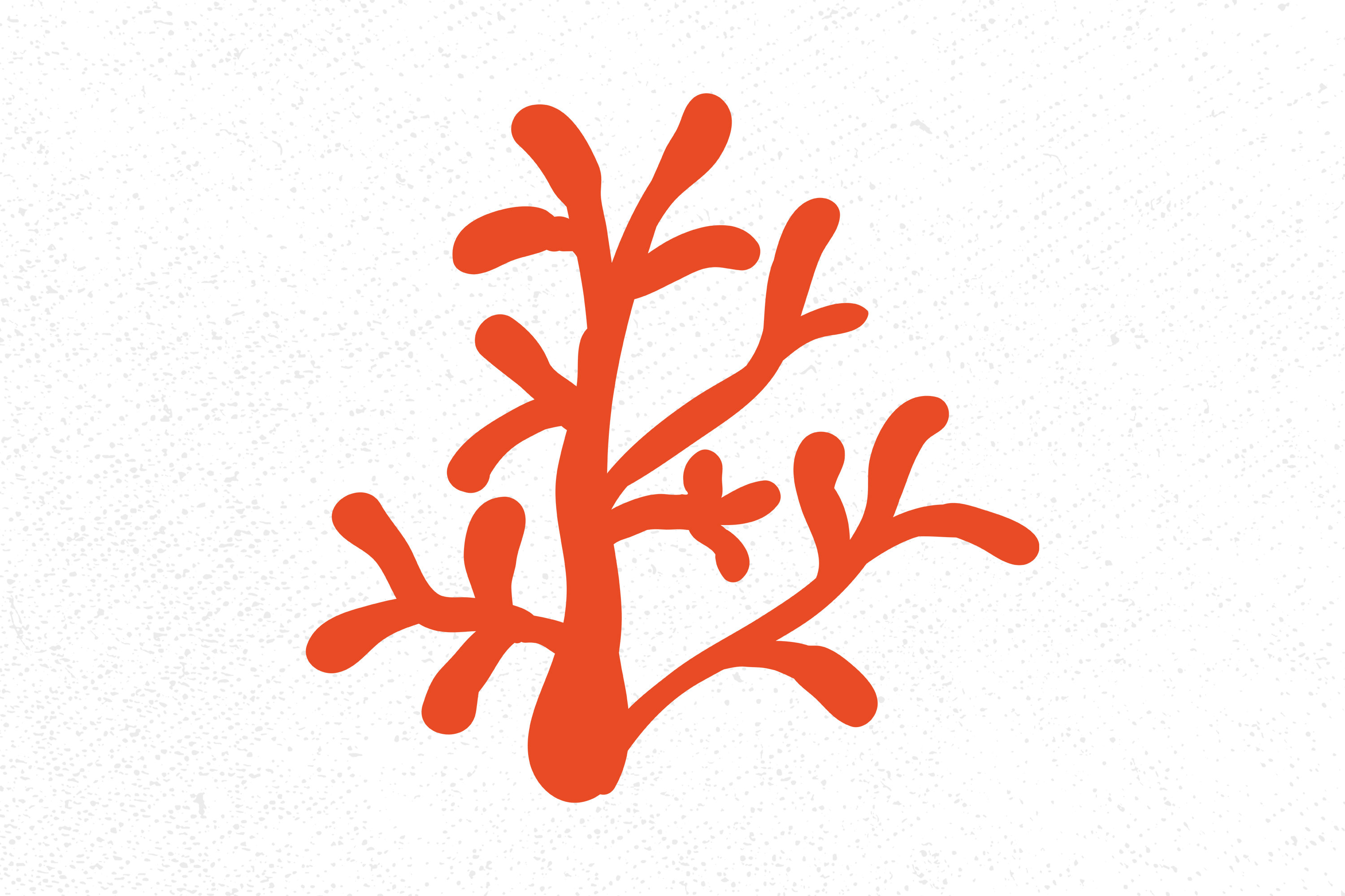 Coral Svg Bundle, Seaweed Svg, Coral Svg, Seaweed Svg, Sea Life Svg ...