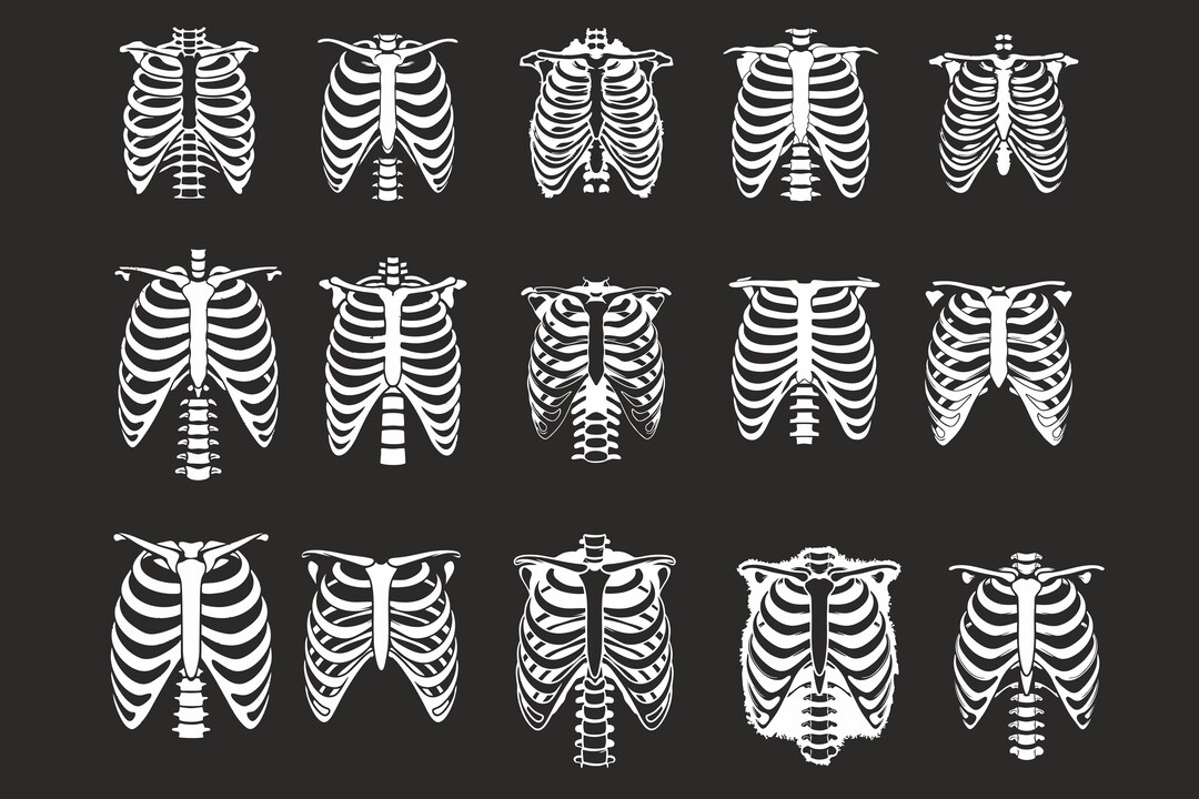 Skeleton Torso SVG Bundle, Ribcage Bones Cut Files (digital Download ...