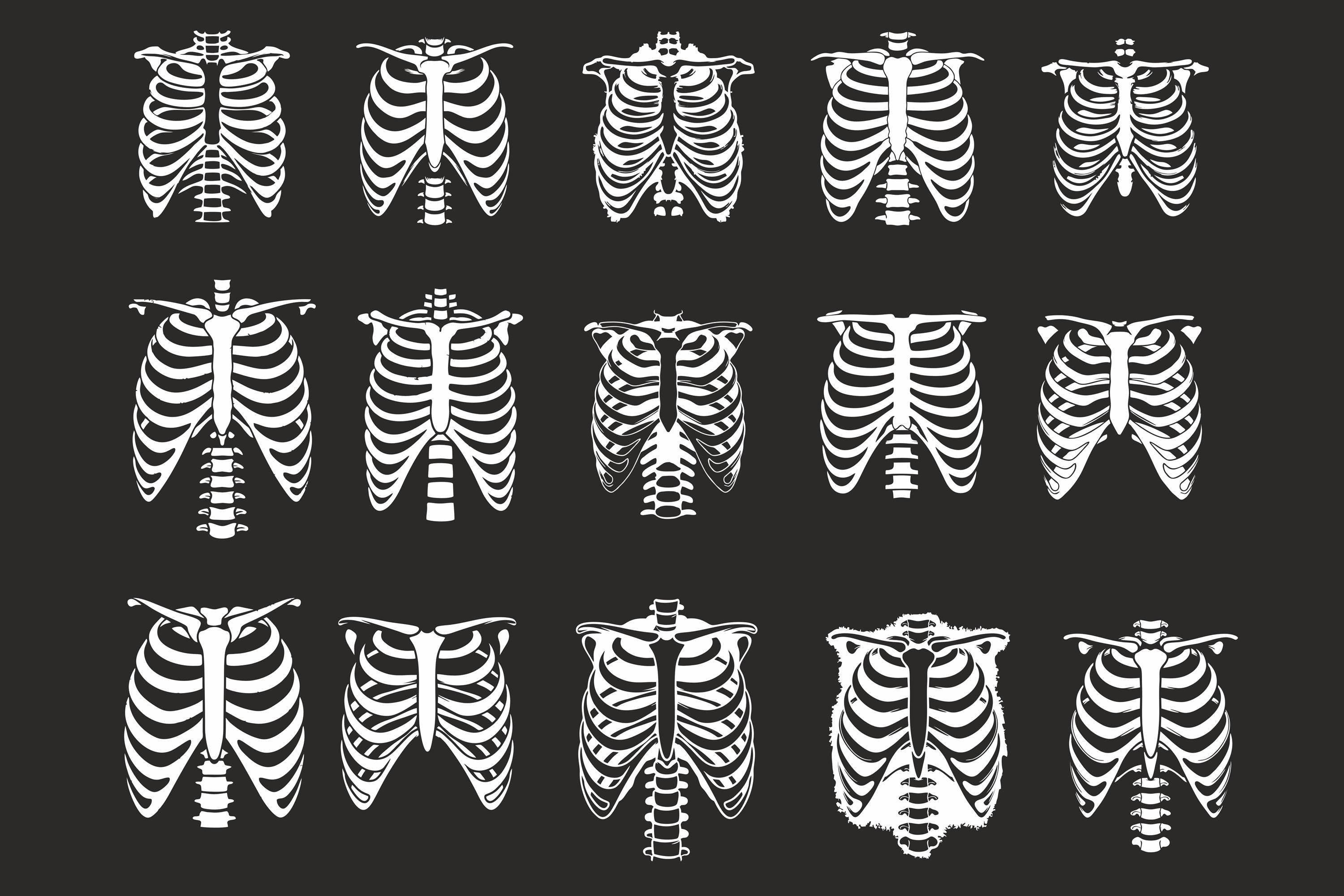 Skeleton Torso SVG Bundle, Ribcage Bones Cut Files (digital Download ...