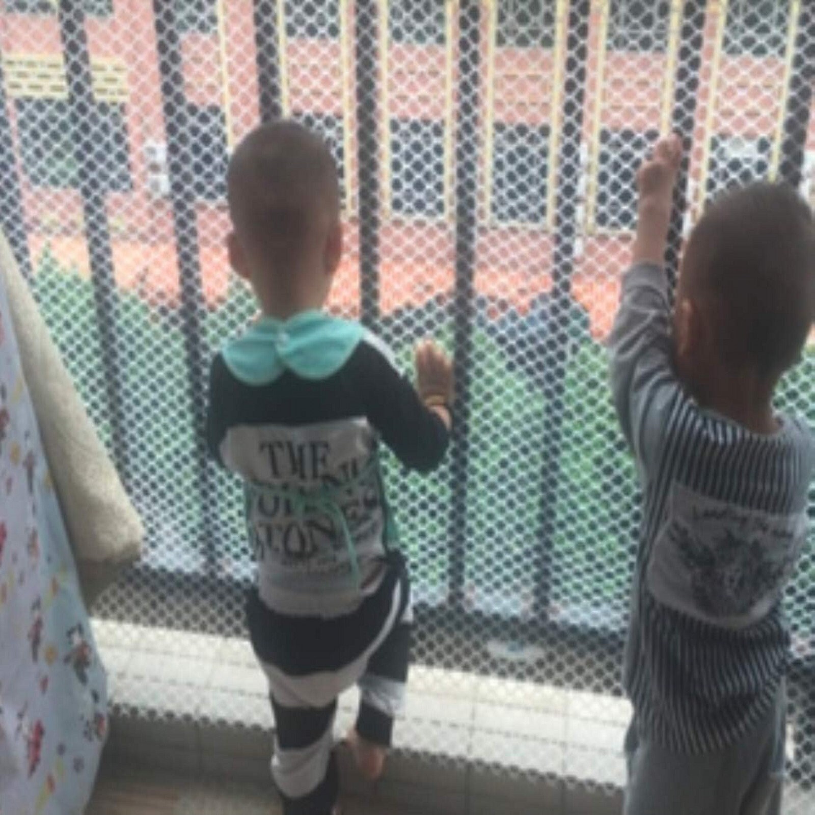 Plastic Fencing Poultry Breeding Netting Chicken Net and Garden Netting ...