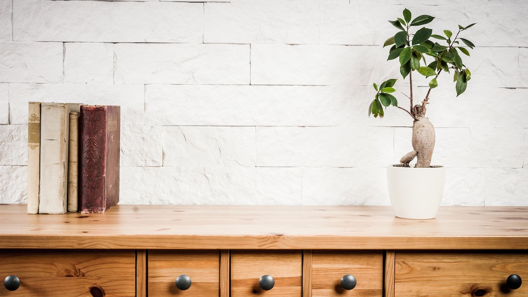 3 Realistic Background Zoom Digital Backgrounds - Etsy