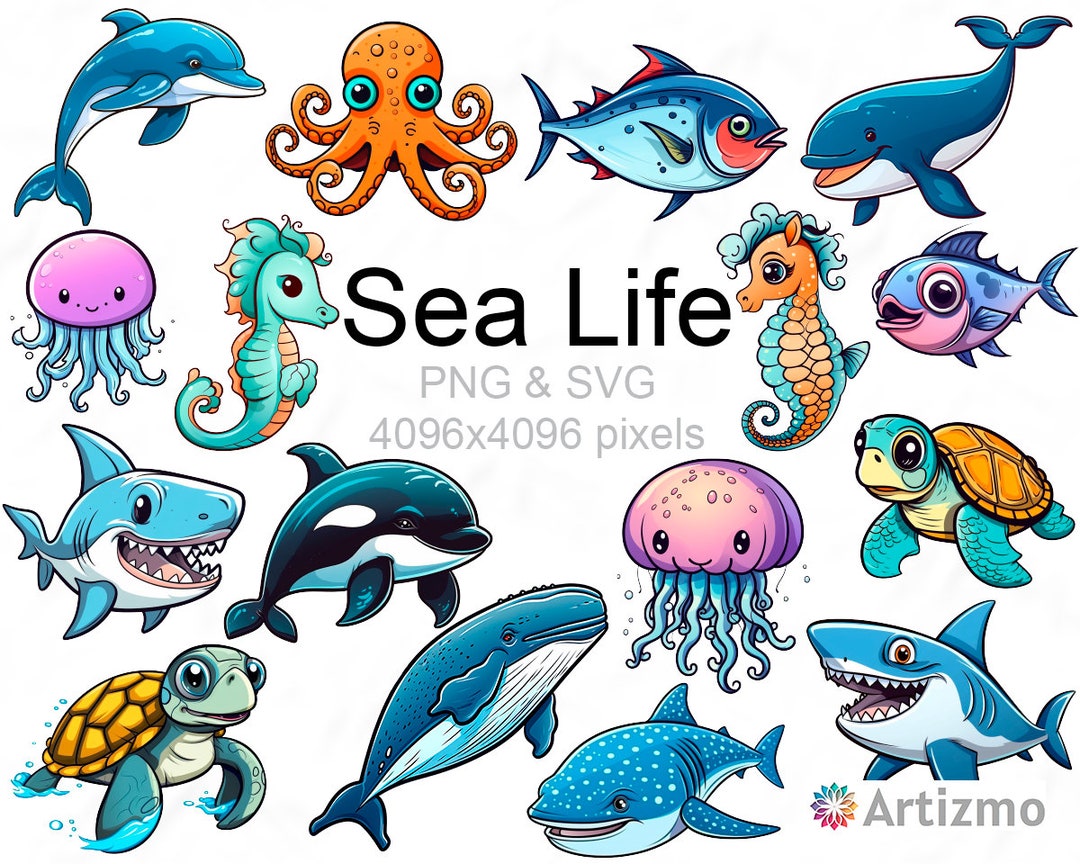 Sea Life Animal PNG & SVG Bundle | 16 Cartoon Cliparts With Transparent ...