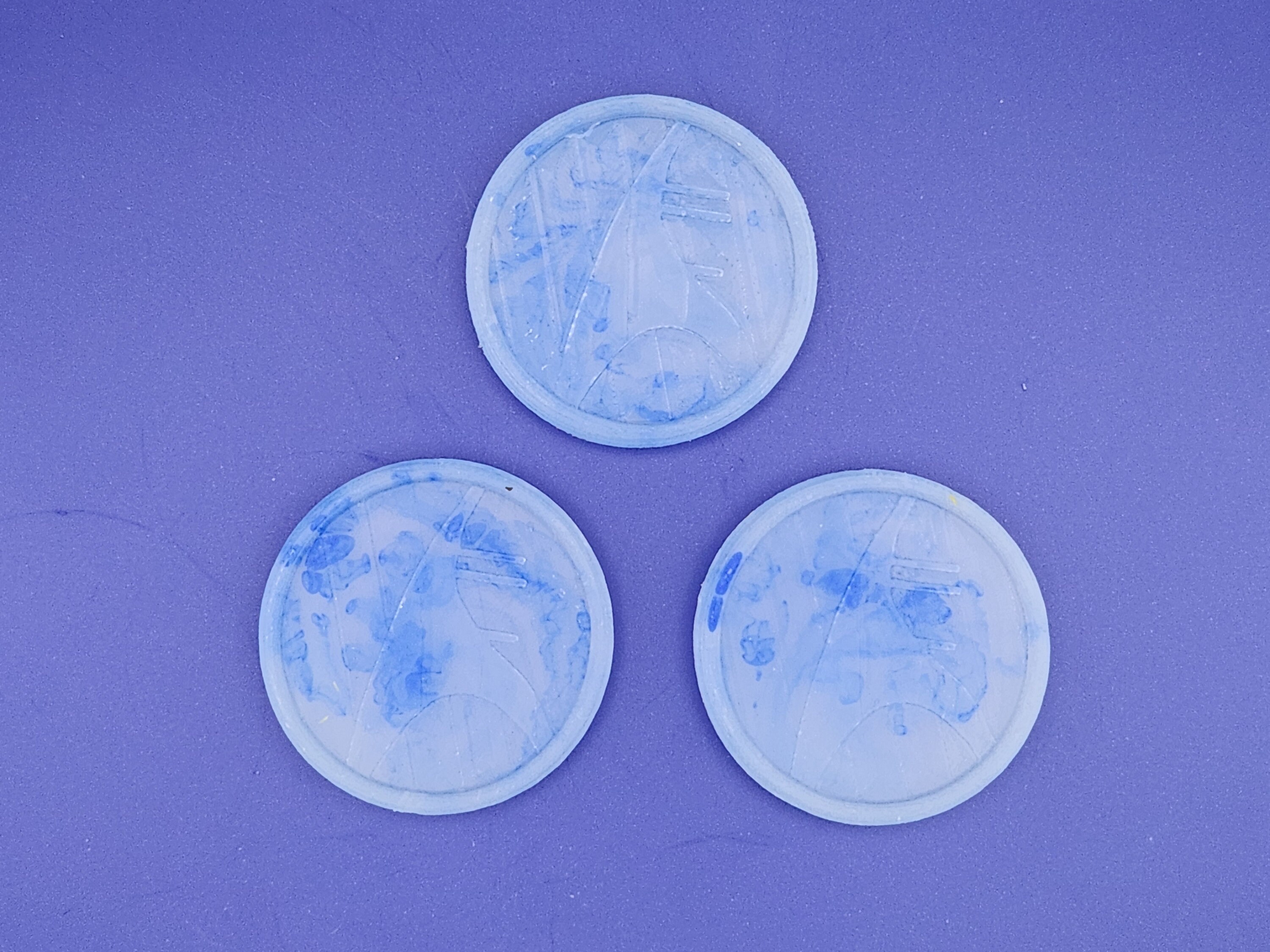 Clear Squishy Calamari Flan - Etsy