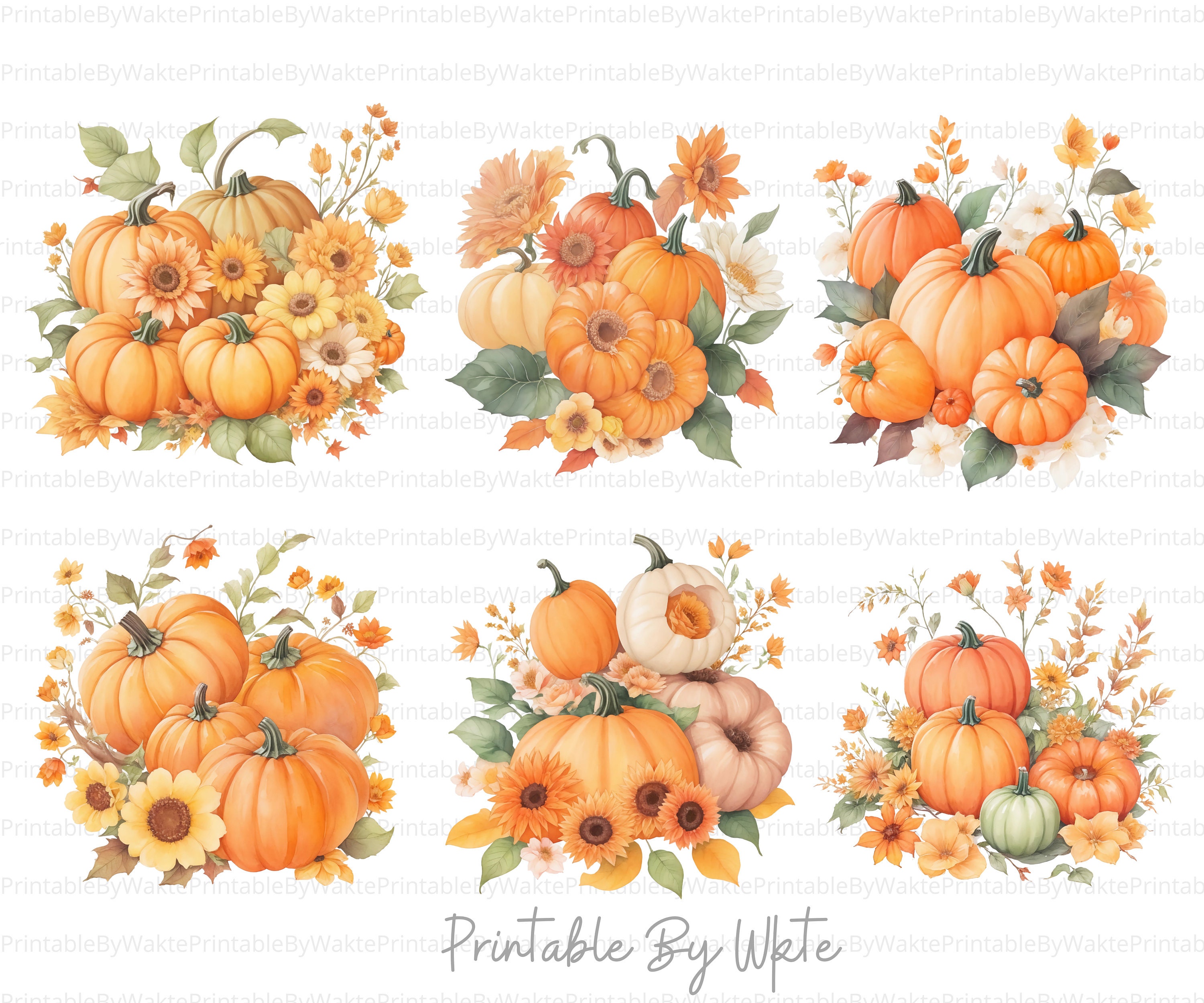 Floral Pumpkin Pastel Clipart PNG - Watercolor Clipart- White Orange ...