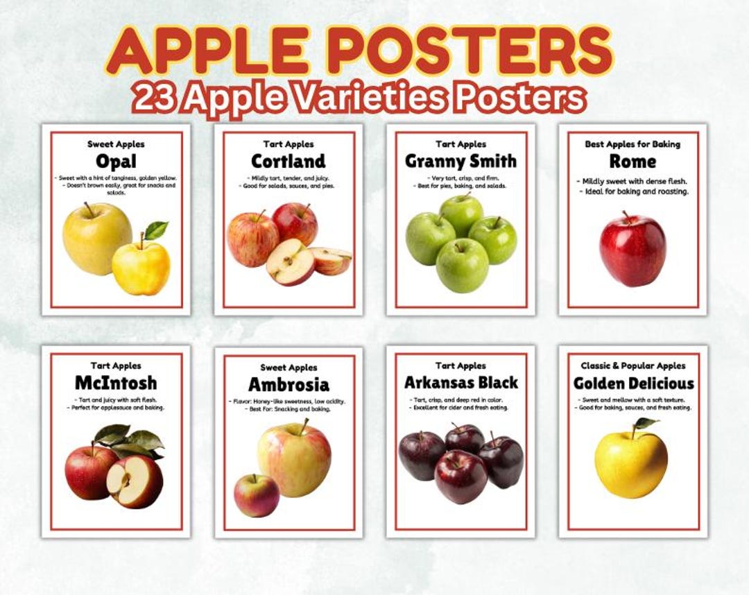Apple Varieties Posters| 23 Apple Varieties Posters | Educational Apple ...