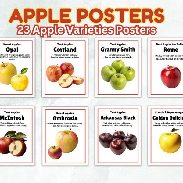 Apple Poster - Etsy
