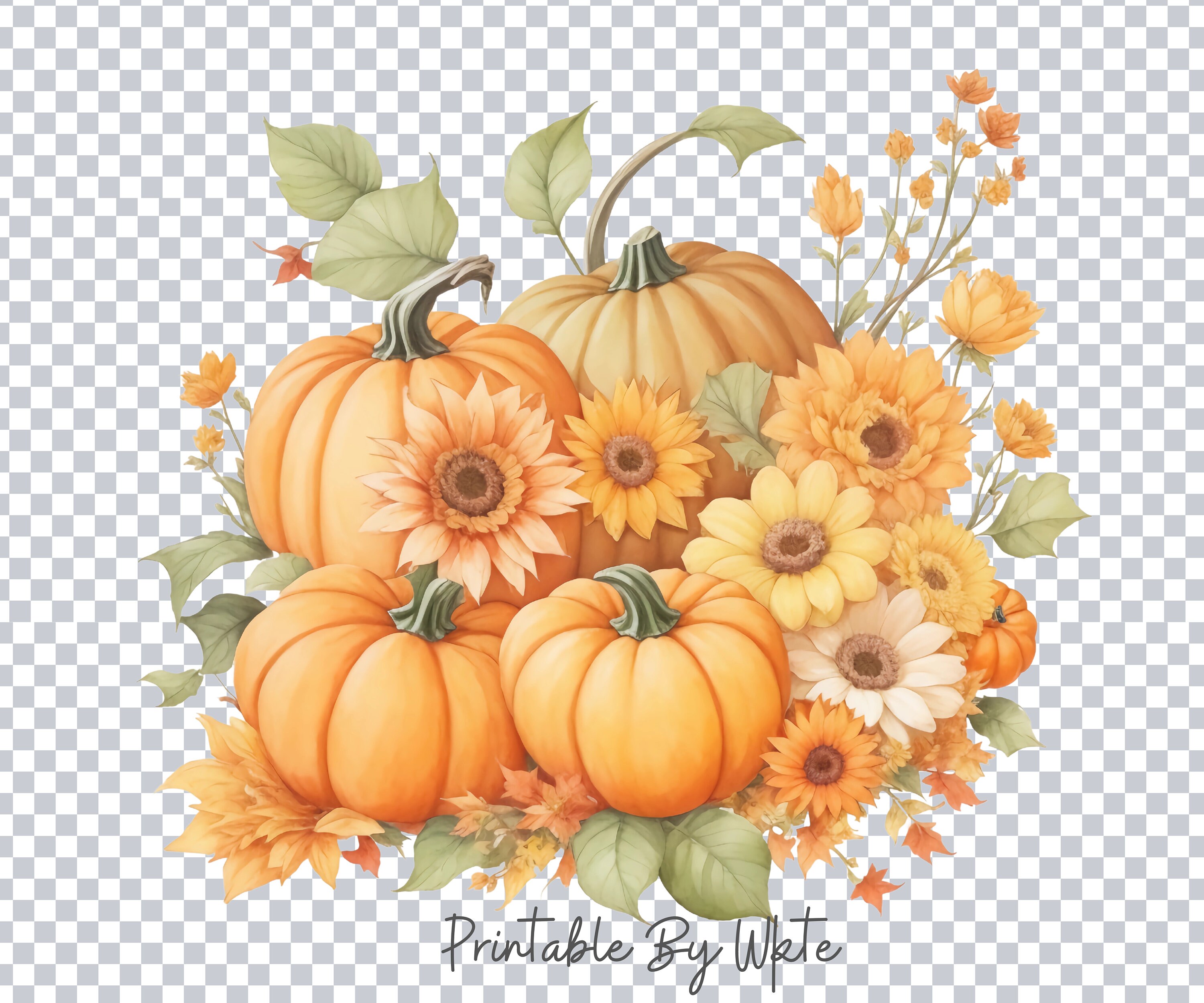Floral Pumpkin Pastel Clipart PNG - Watercolor Clipart- White Orange ...