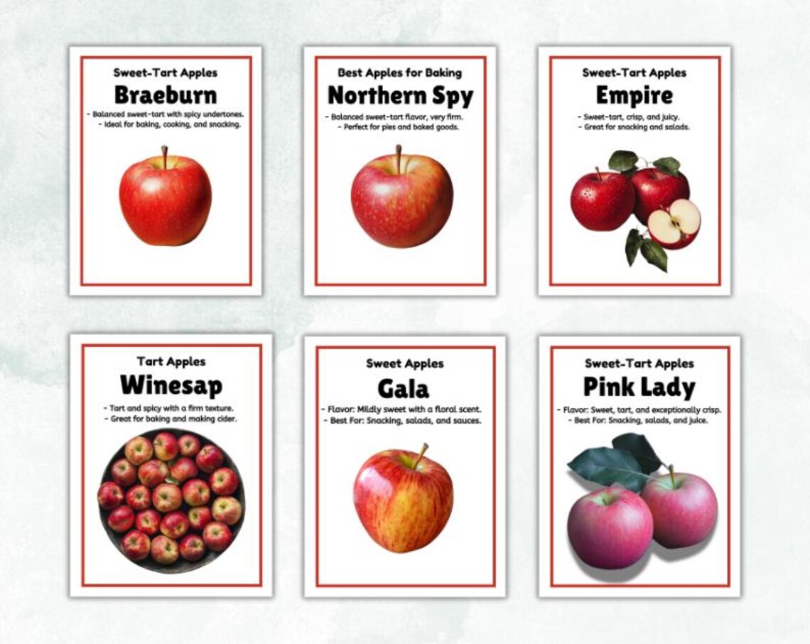 Apple Varieties Posters| 23 Apple Varieties Posters | Educational Apple ...