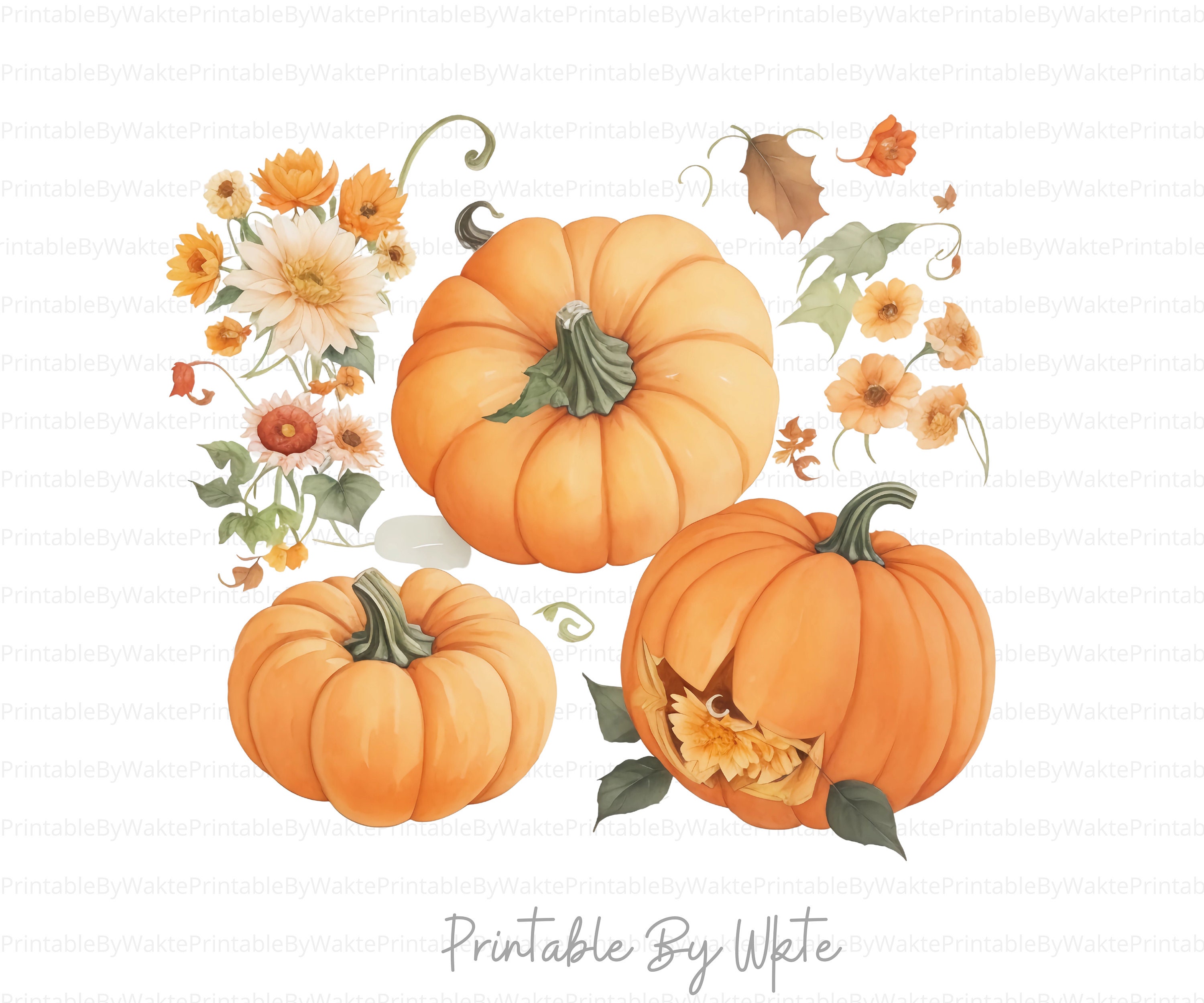 Floral Pumpkin Pastel Clipart PNG - Watercolor Clipart- White Orange ...