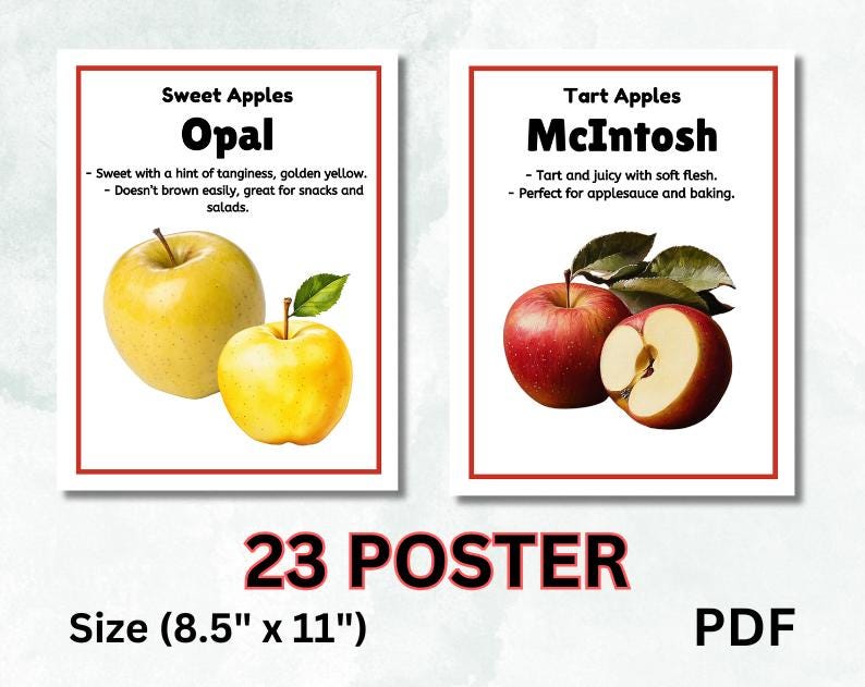 Apple Varieties Posters| 23 Apple Varieties Posters | Educational Apple ...