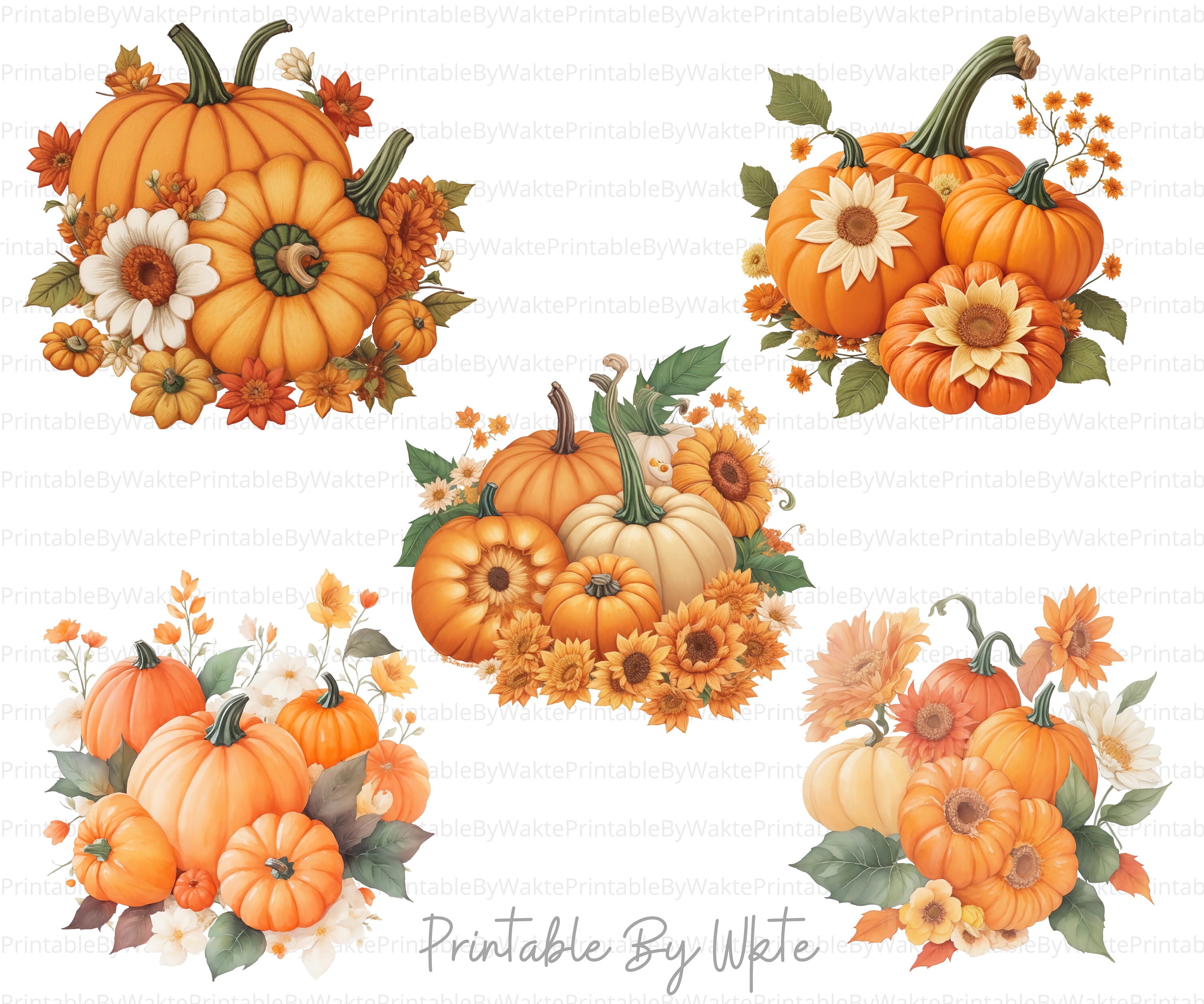 Floral Pumpkin Pastel Clipart PNG - Watercolor Clipart- White Orange ...