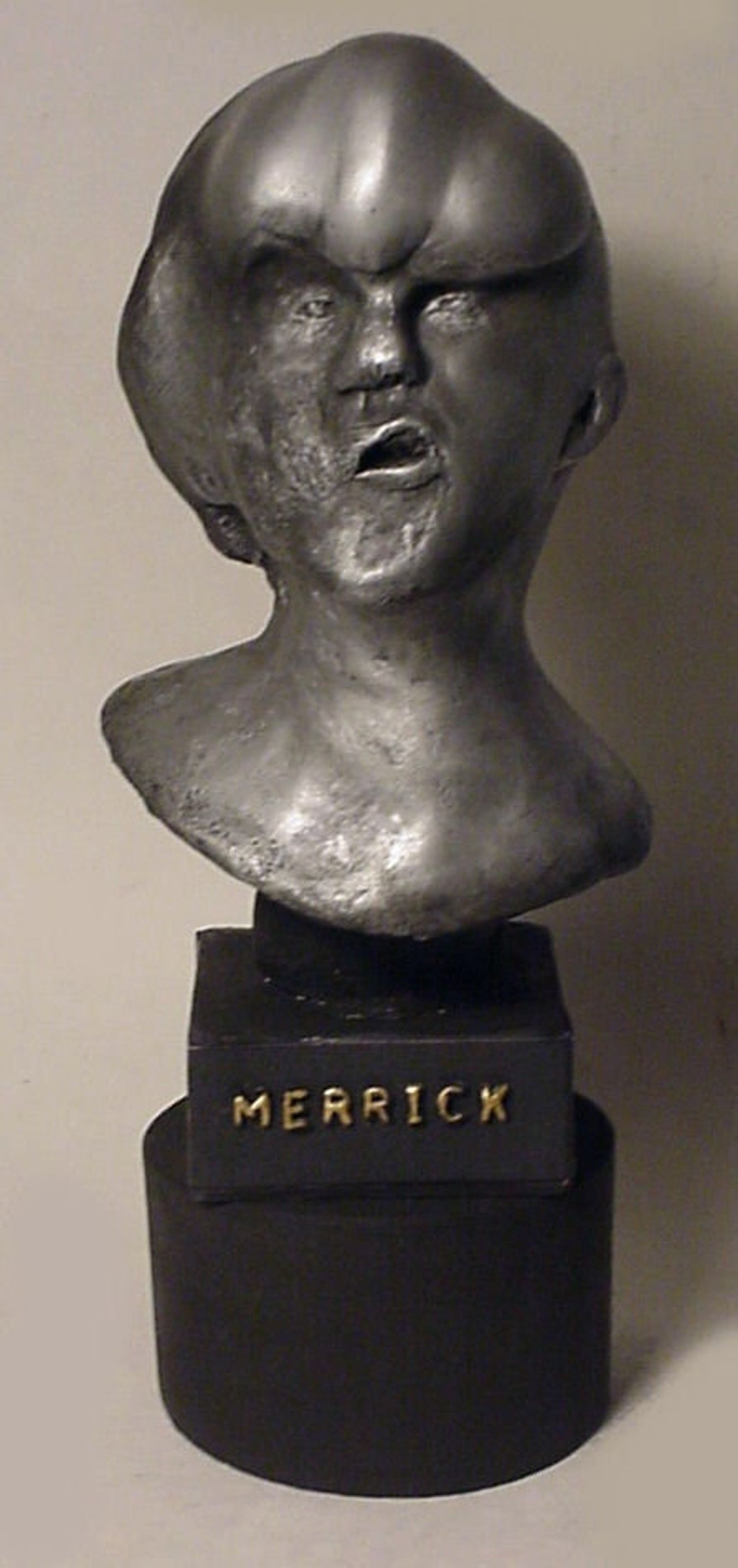 Bust of John Merrick the Elephant Man 19th Century England - Etsy