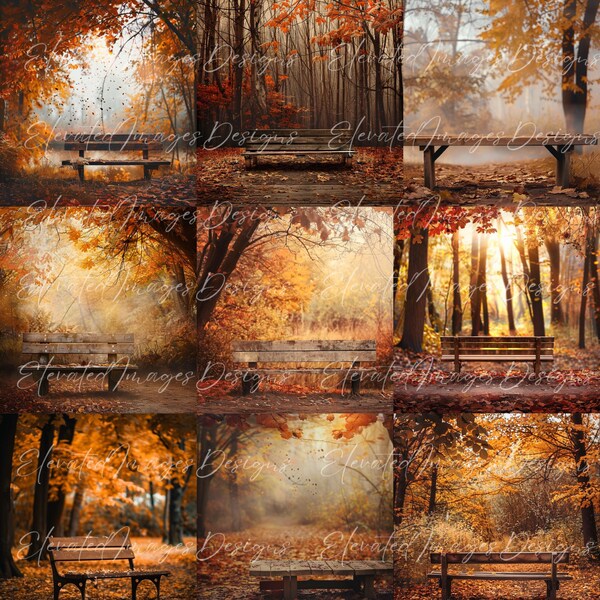 6 Rock on the Lake Digital Backgrounds, Senior Digital Backgrounds ...