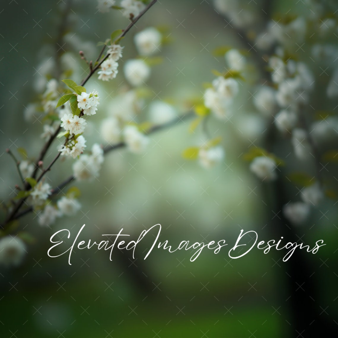 Mint Green Floral Digital Background, Digital Backdrop, PNG, Kids ...