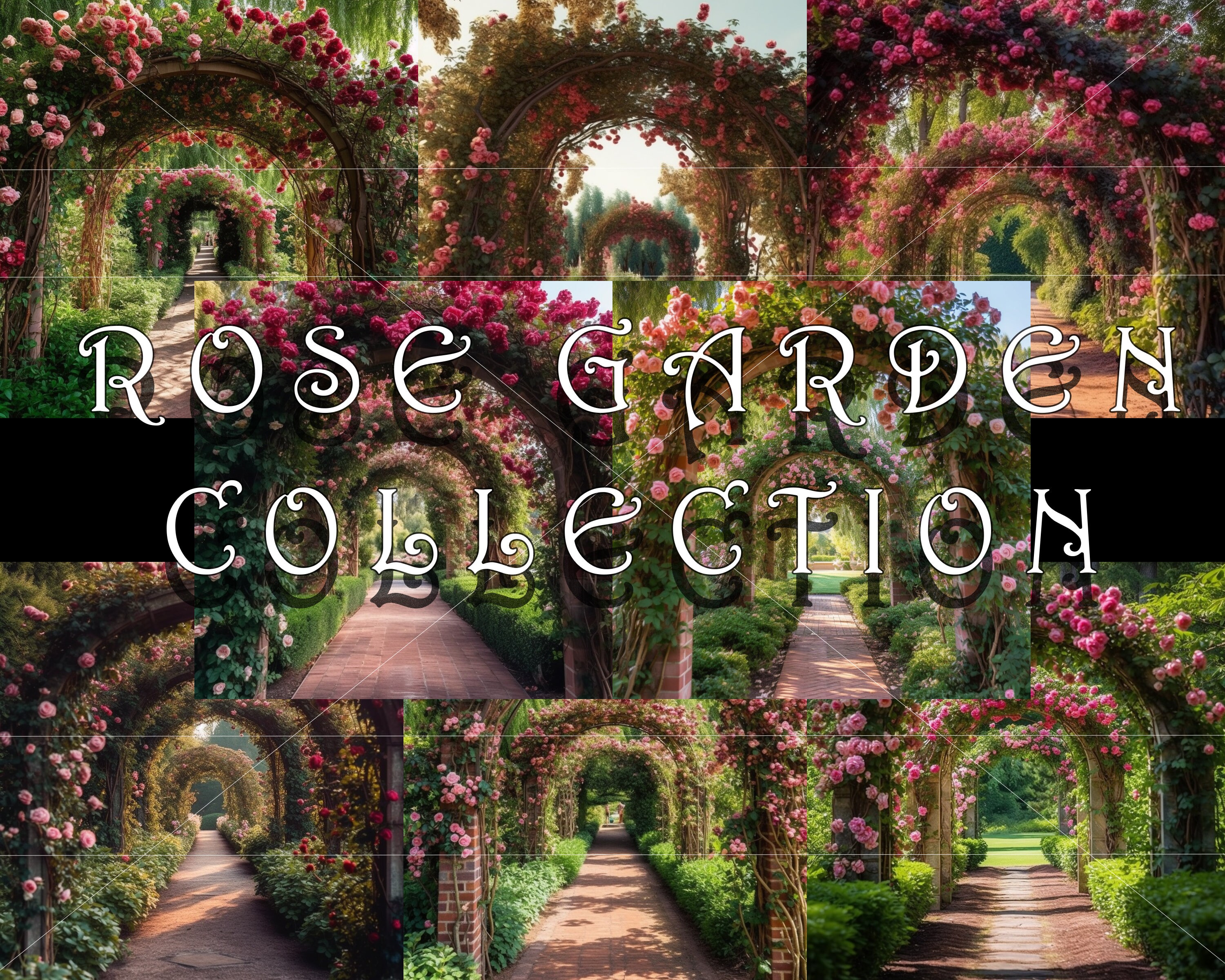 37 Rose Garden Digital Backgrounds, Digital Backdrops, Seniors ...