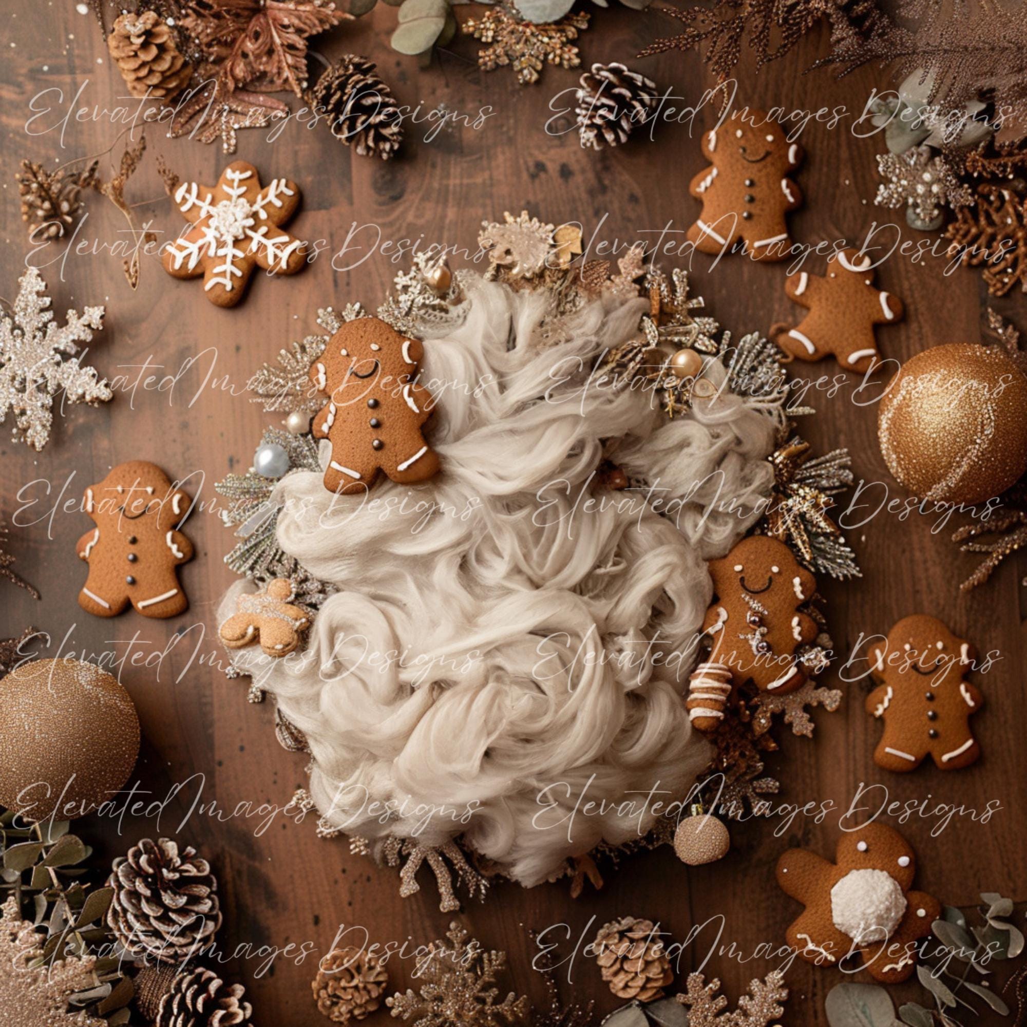 Gingerbread Man Newborn Photography Background, Backdrop, Newborn Mini ...