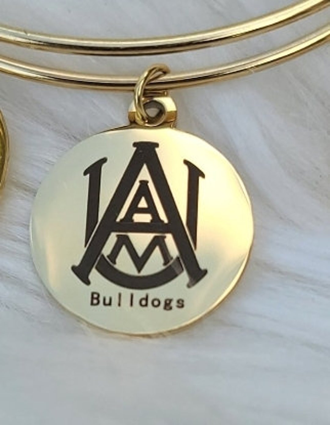 AAMU Jewelry Charm AAM University Charm HBCU Charms - Etsy
