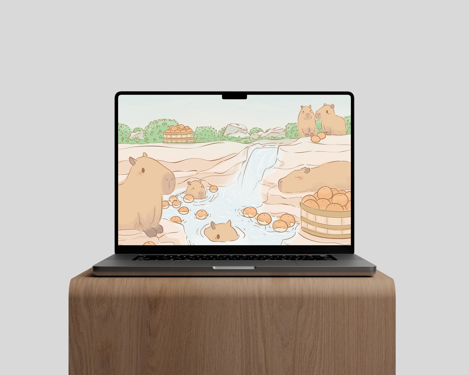 Cute Capybara Computer Wallpaper Digital Download Capybara Mandarin ...