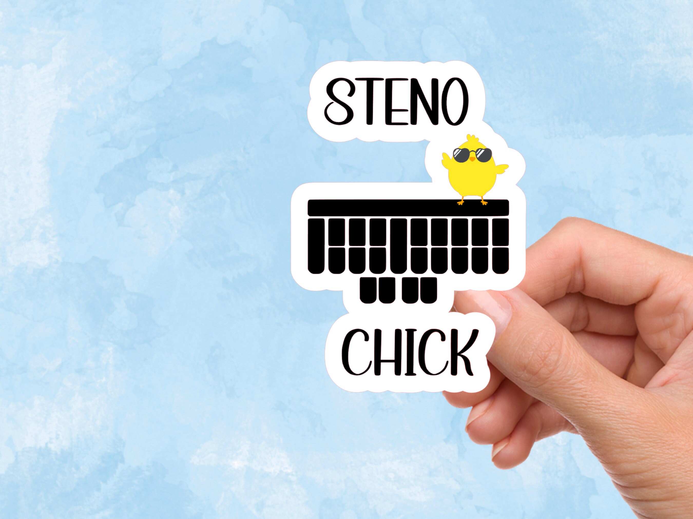 Steno Chick Swag Court Reporting Accessories Cute Court - Etsy