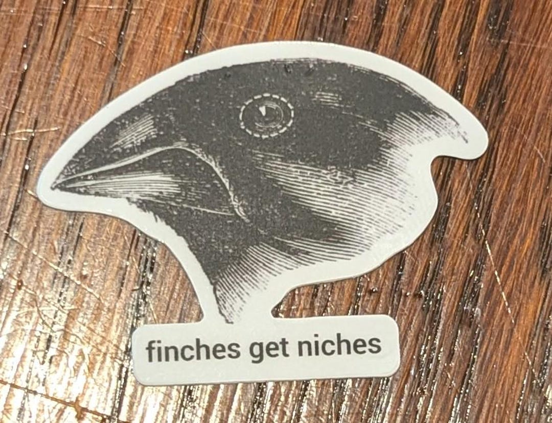 Finches Get Niches, Finch Sticker - Etsy