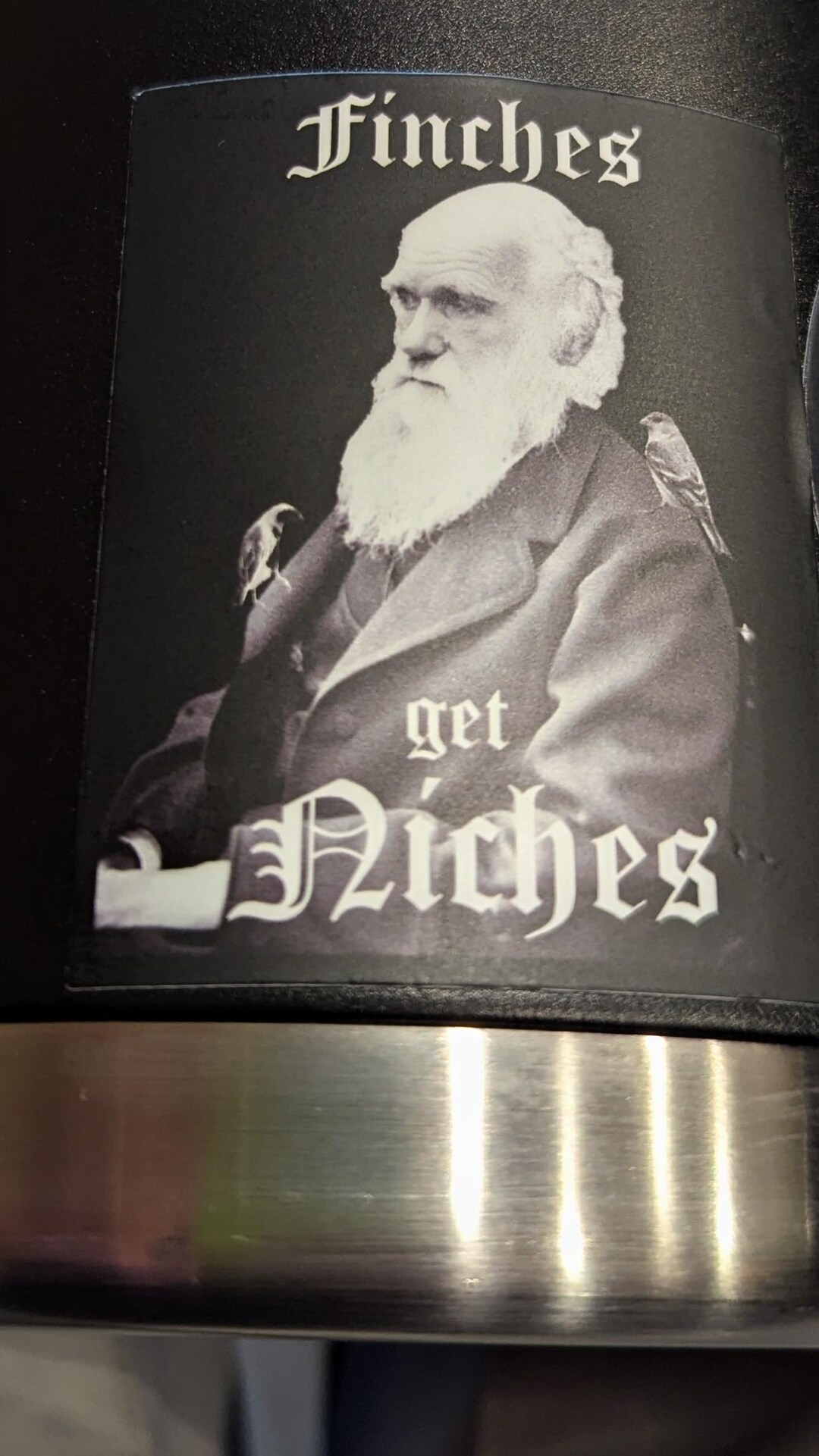 Finches Get Niches Charles Darwin Sticker - Etsy