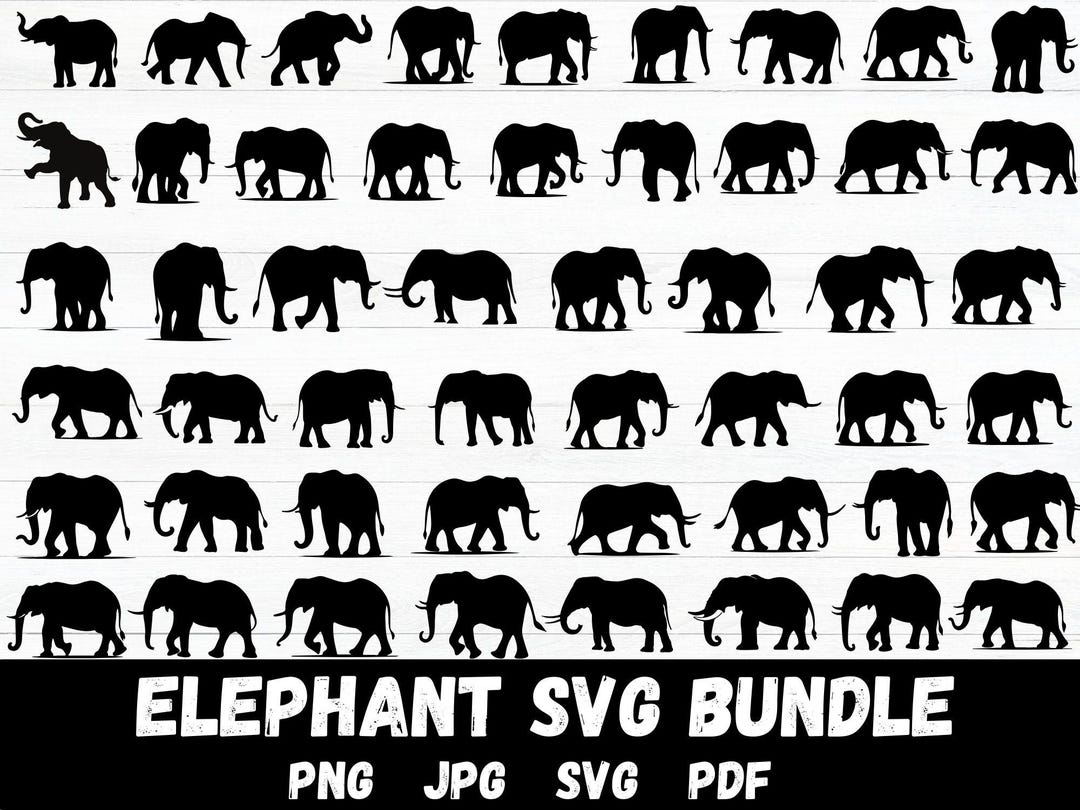 Elephant SVG Bundle, Safari Animal Clipart (digital Download) - Etsy