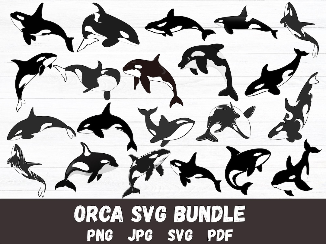 Orca Cut Files - SVG, PNG, JPG - Commercial Use, Digital Cut File, Orca ...