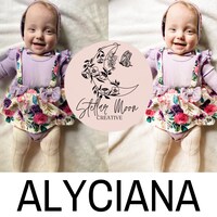 Checkered Blueberries, Blueberries, Blue Checkers Seamless Pattern - Etsy