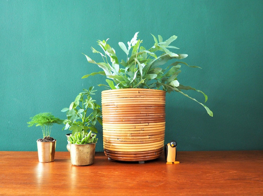 Large Pencil Reed Flower Pot 1970s - Etsy